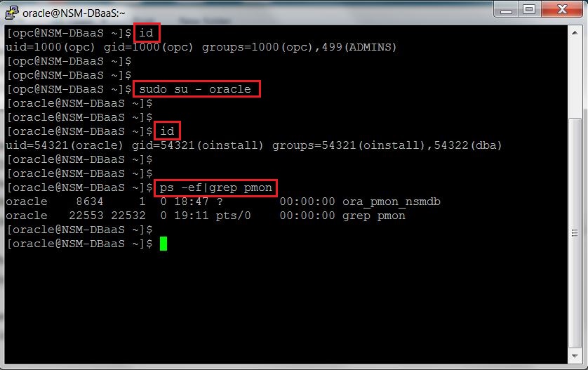 Netsoftmate Technical Blog : Step 5 - Oracle DBCS : Connecting To Compute Node Using PuTTY