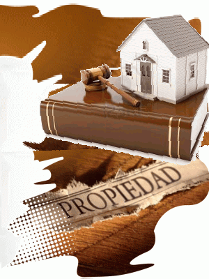 Garantías Constitucionales y Derechos Humanos.: 2017