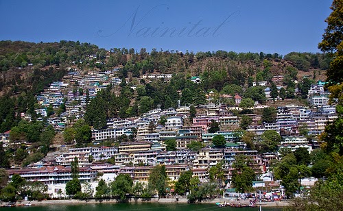 CHEF DARSHAN DABRAL: NAINITAL (STATE OF UTTARANKAHD,INDIA)