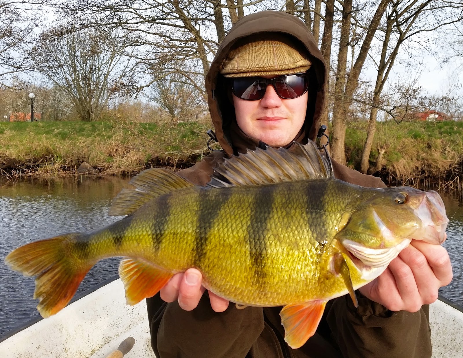 Jakten på den stora: Abborre i öster