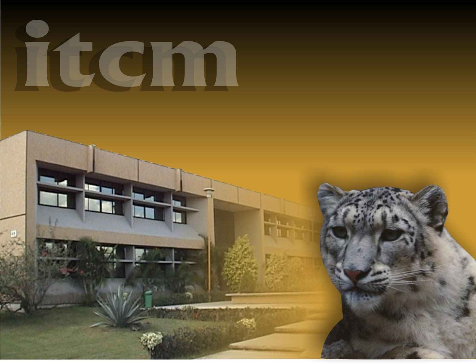 Logotipos del ITCM - blog de smart