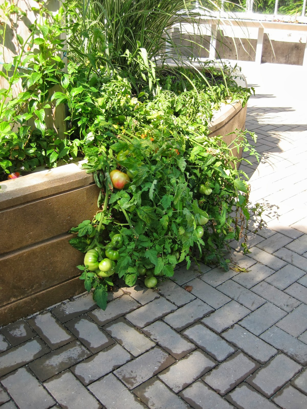 Rotary Botanical Gardens - Hort Blog: Tri-State Tour