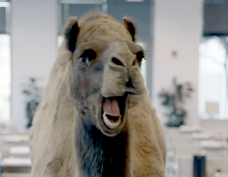 Who is that actor, actress in that TV commercial?: Geico "Camel Hump ...