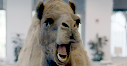 Geico Camel Mike Mike Mike