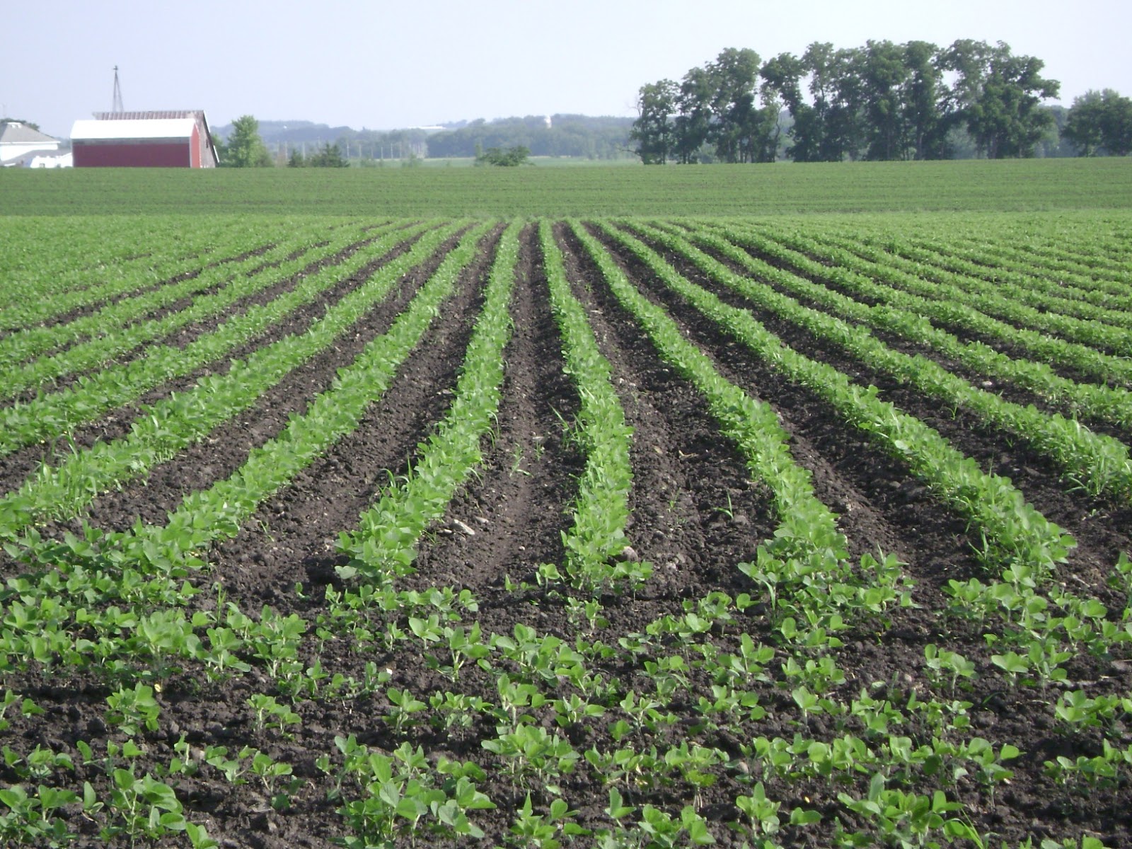 Titus24U: Time to Cultivate