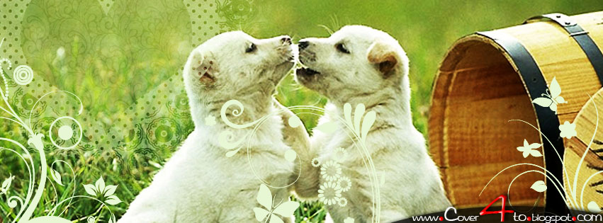 facebook cover photos: Lovely Pets