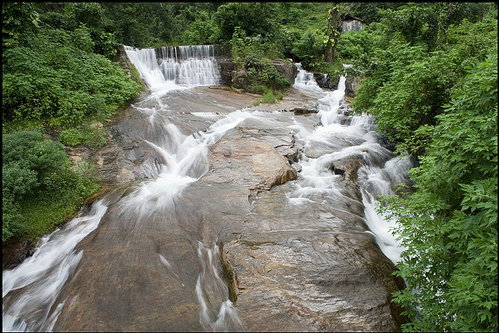 Welcome to Trivandrum District: Bonakkad / Bonacaud