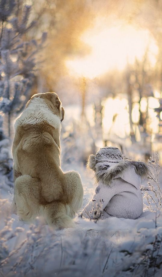 image on Hello Lovely