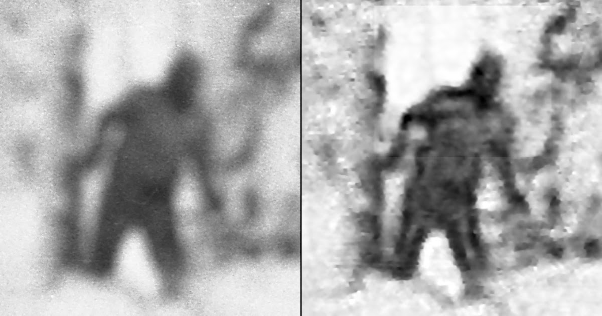 El Blog de Espacial.org: El Menk o Yeti ruso: ¿revelado?