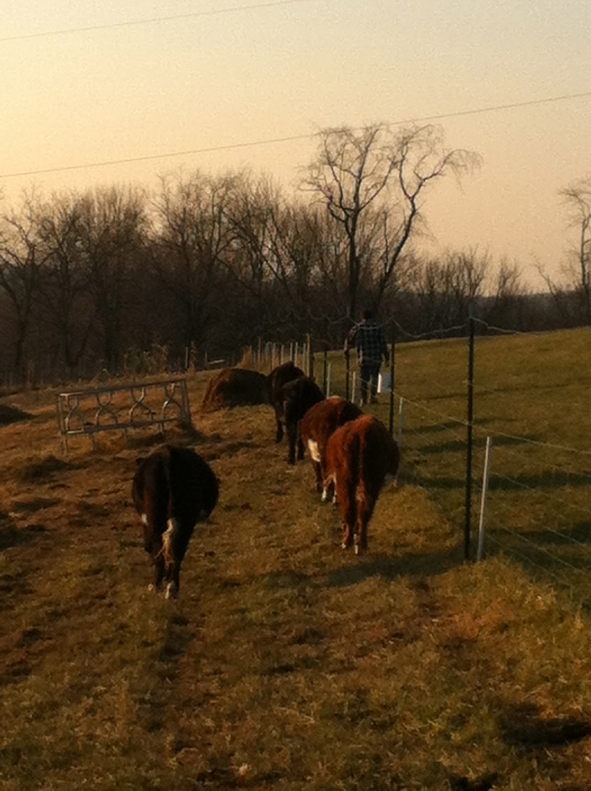Down On The (Howard Family) Farm