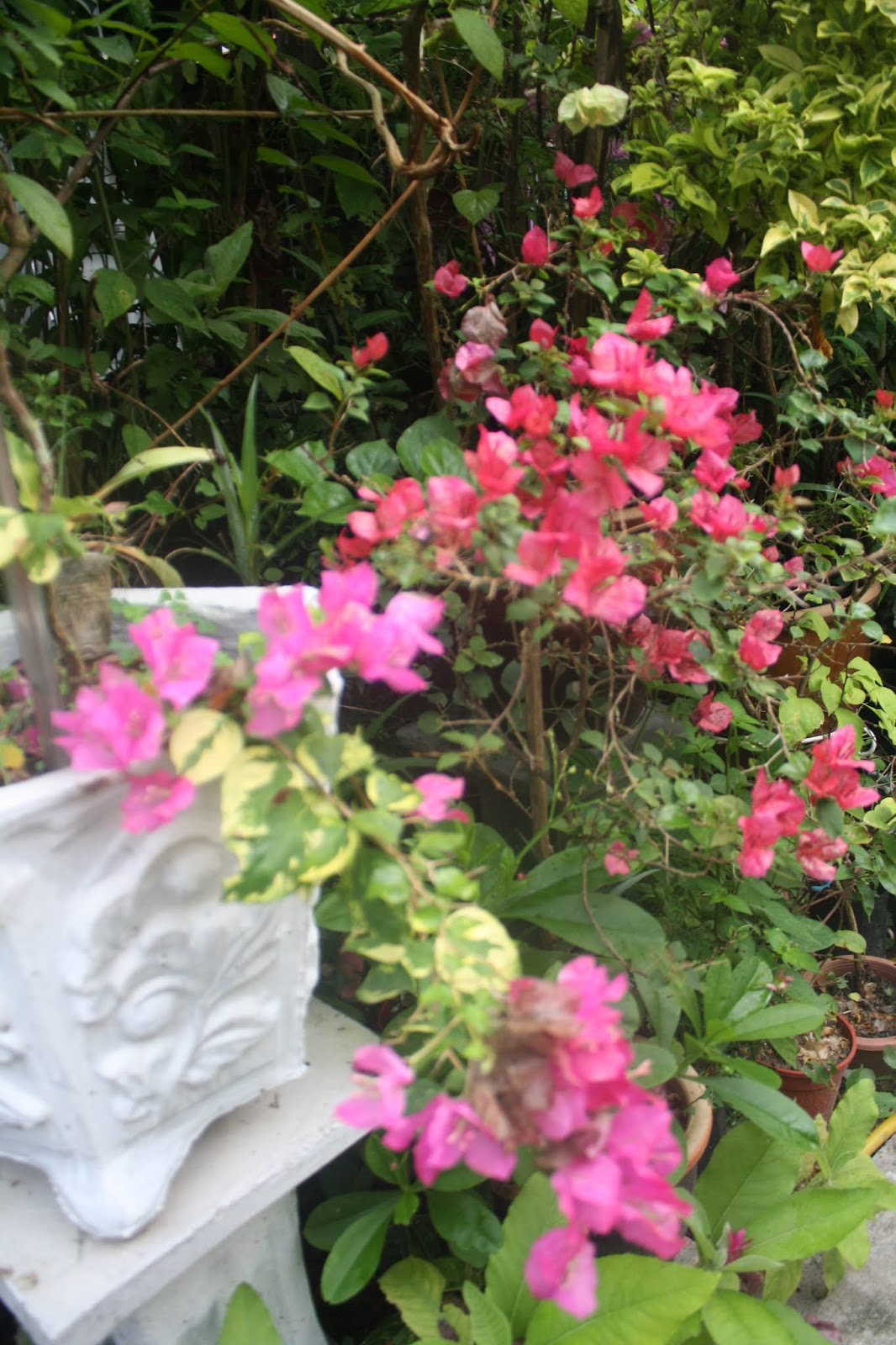 Pasu Seramik Antik & Bunga Kertas Anggun