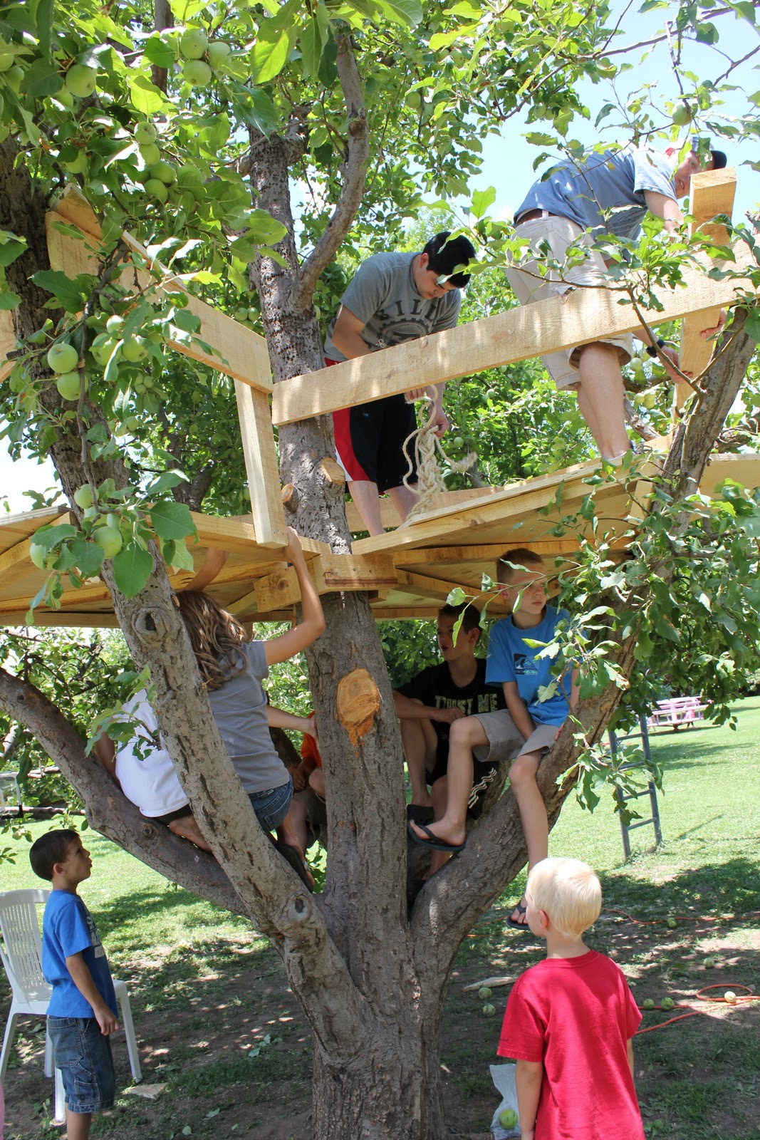 LIVE.... LAUGH.... LOVE ....: the tree fort