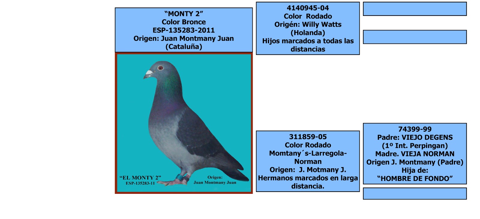 PALOMASDELAHABANA: MIS PALOMAS