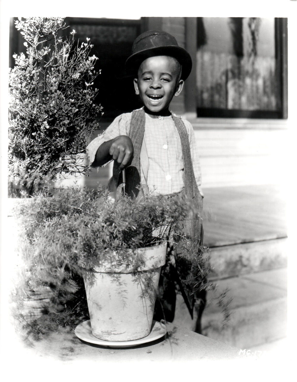 stymie beard - USA News Collections