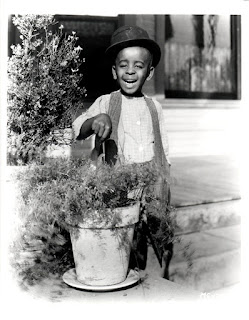 stymie beard - USA News Collections