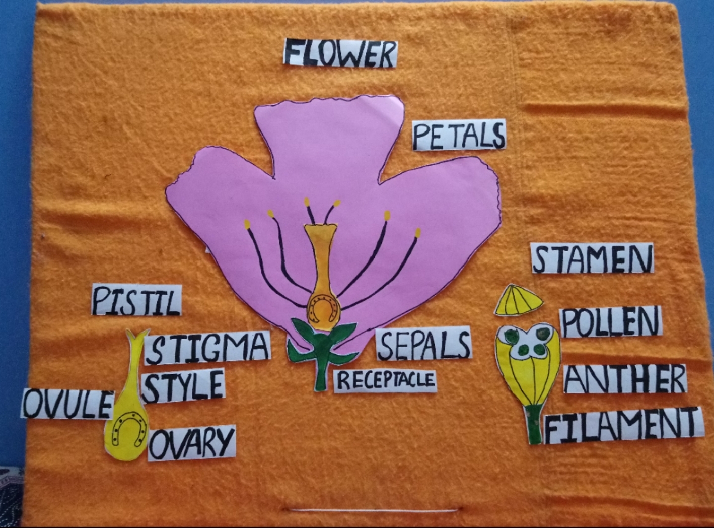 Splendid Science: Classroom lesson plan