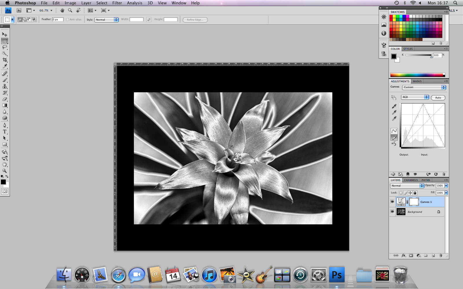 Experimental Techniques in Photography: Digital Solarisation