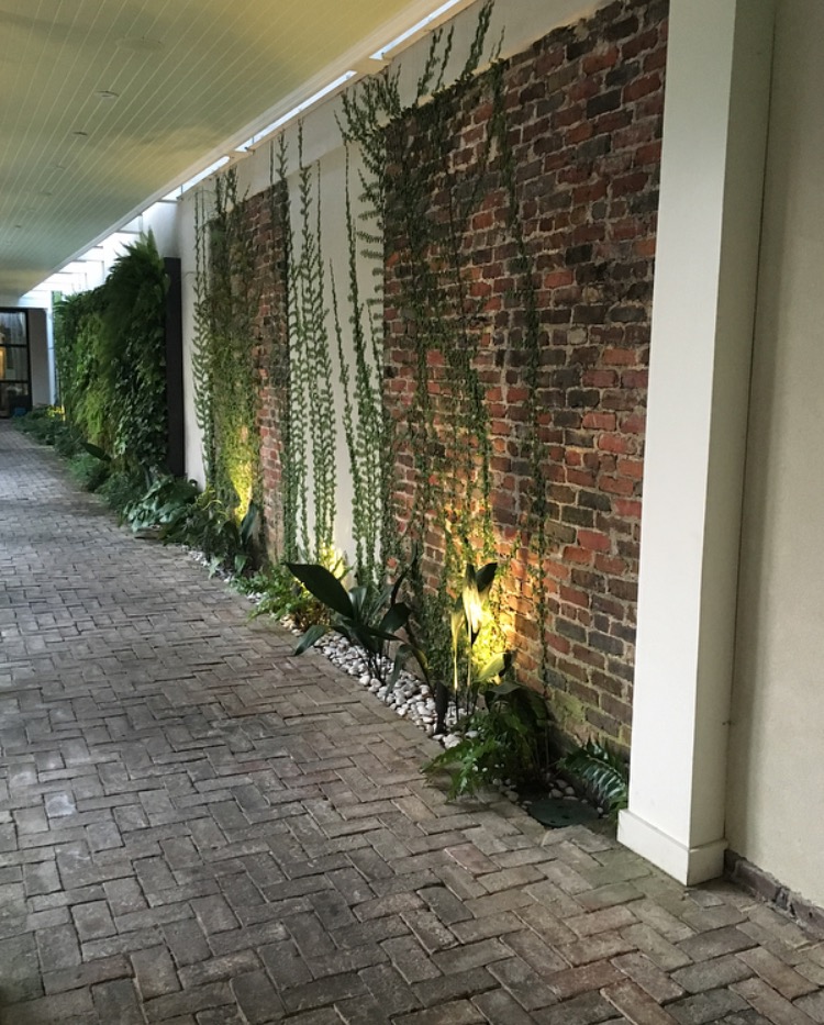 The Beach Read Cocktail + Celebrity Chef Tour at Cannon Green + OOTN ...