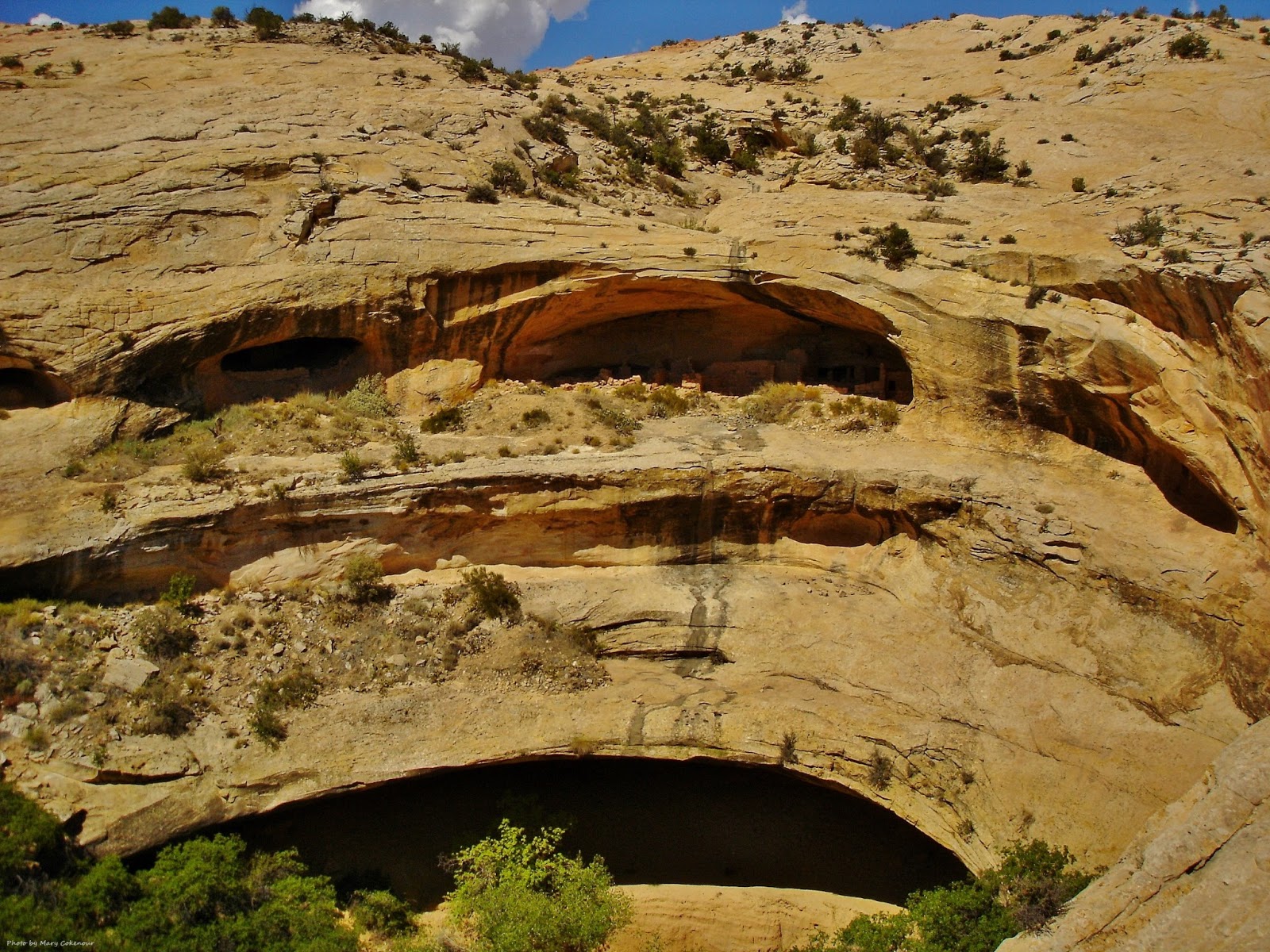The Southwest Through Wide Brown Eyes: Butler Wash's Roadside Ruin ...