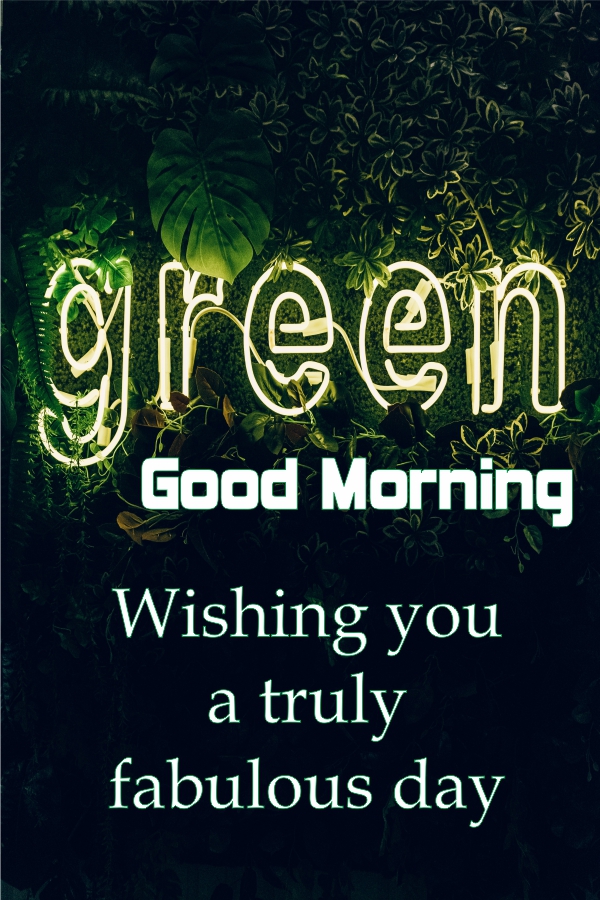 111 GREETINGS FOR - GOOD MORNING QUOTES