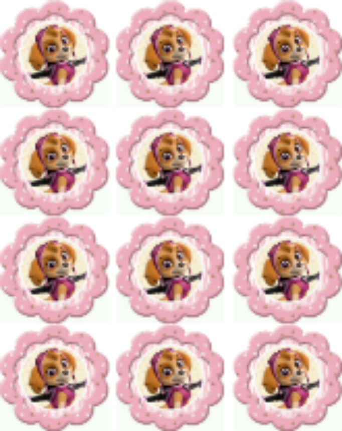 Edible Paper in Creatividades: PAW PAW PATROL