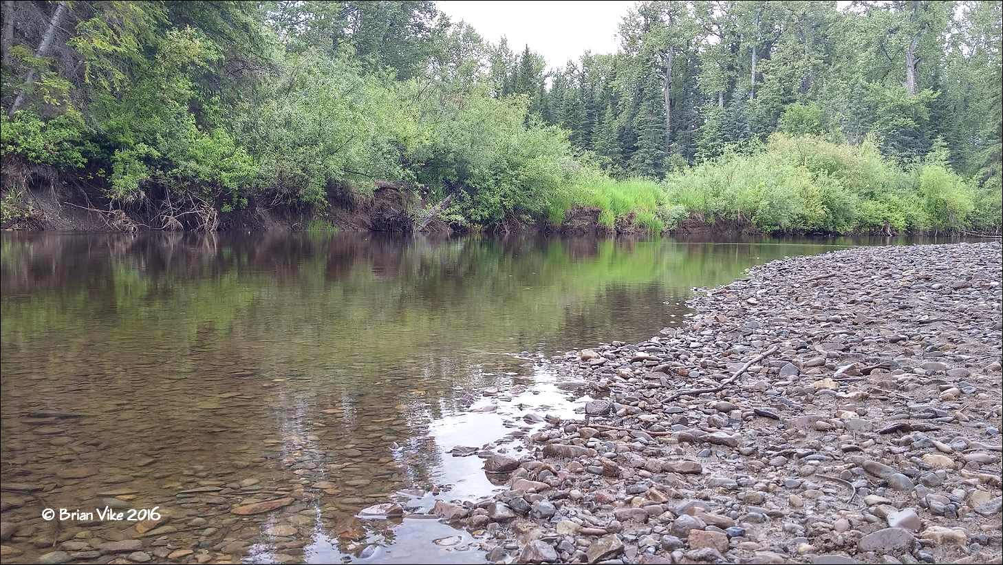 Northern Interior British Columbia: My Bulkley River 3 Houston British ...