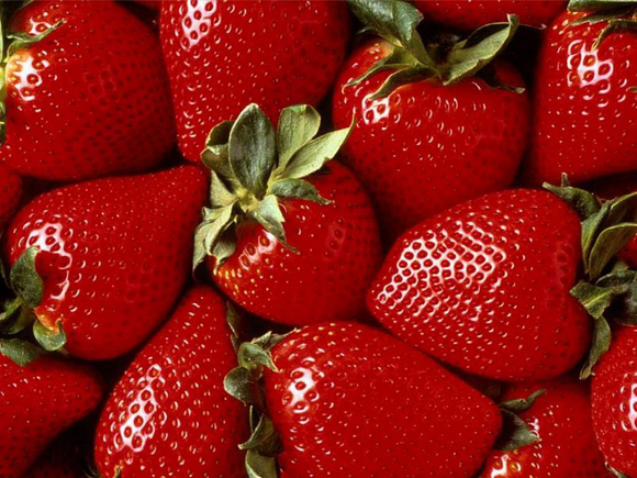 Strawberry | THE NATURE OF THE WORLD