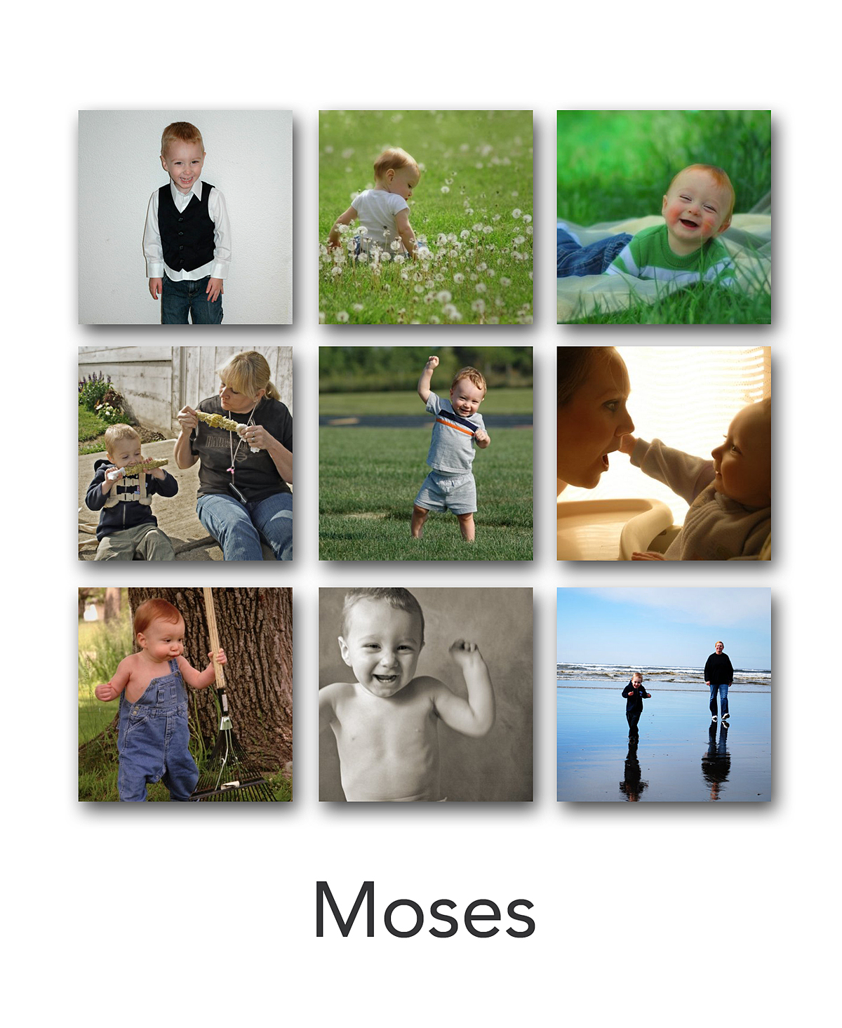 Make a collage or montage out of your favorite snapshots! $15!!! 785. ...