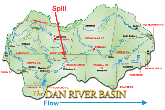 Leopards and Dragons: Coal Ash Spill into the Dan River, North Carolina