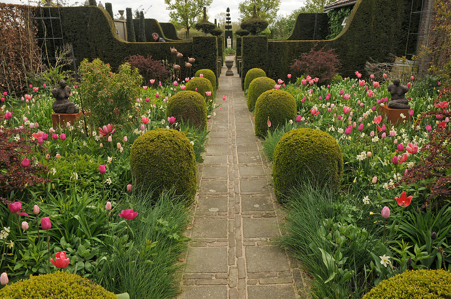 Tipos De Bulbos De Flores De Primavera