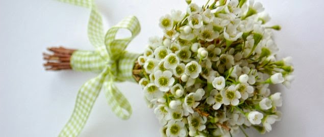 Waxflower Bouquet|http://refreshrose.blogspot.com/