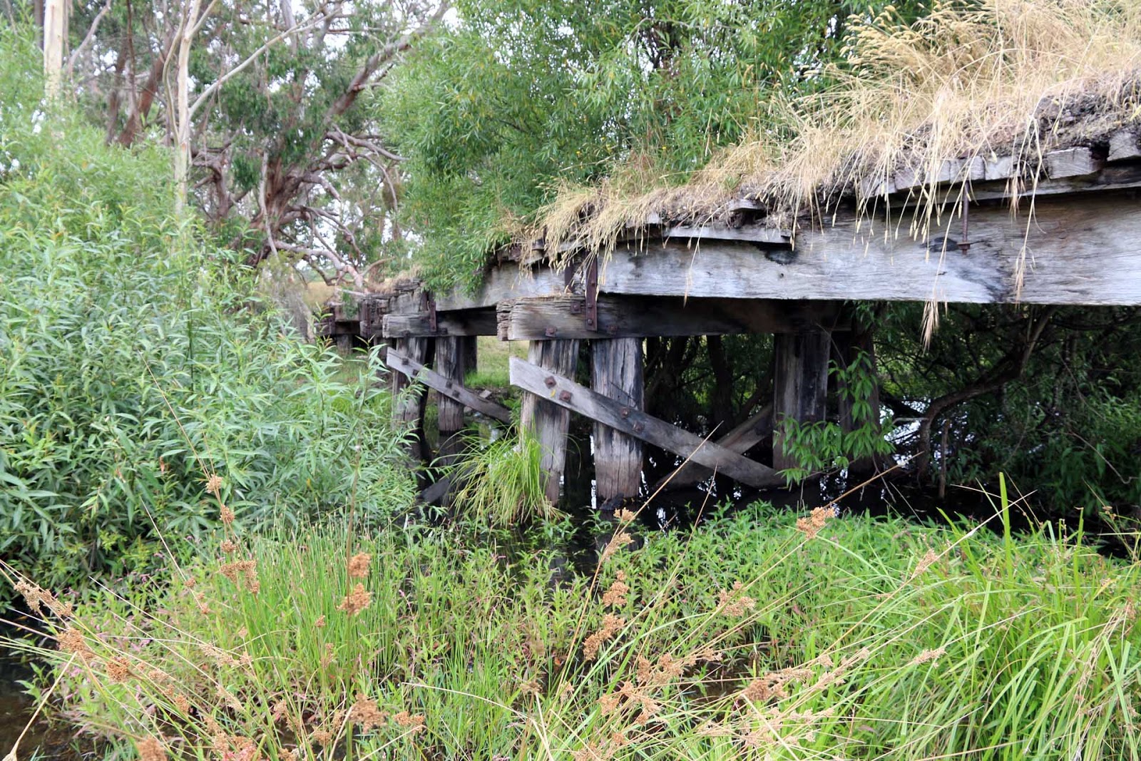 Abandoned But Not Forgotten: Bridges over the Barwon River West Branch ...