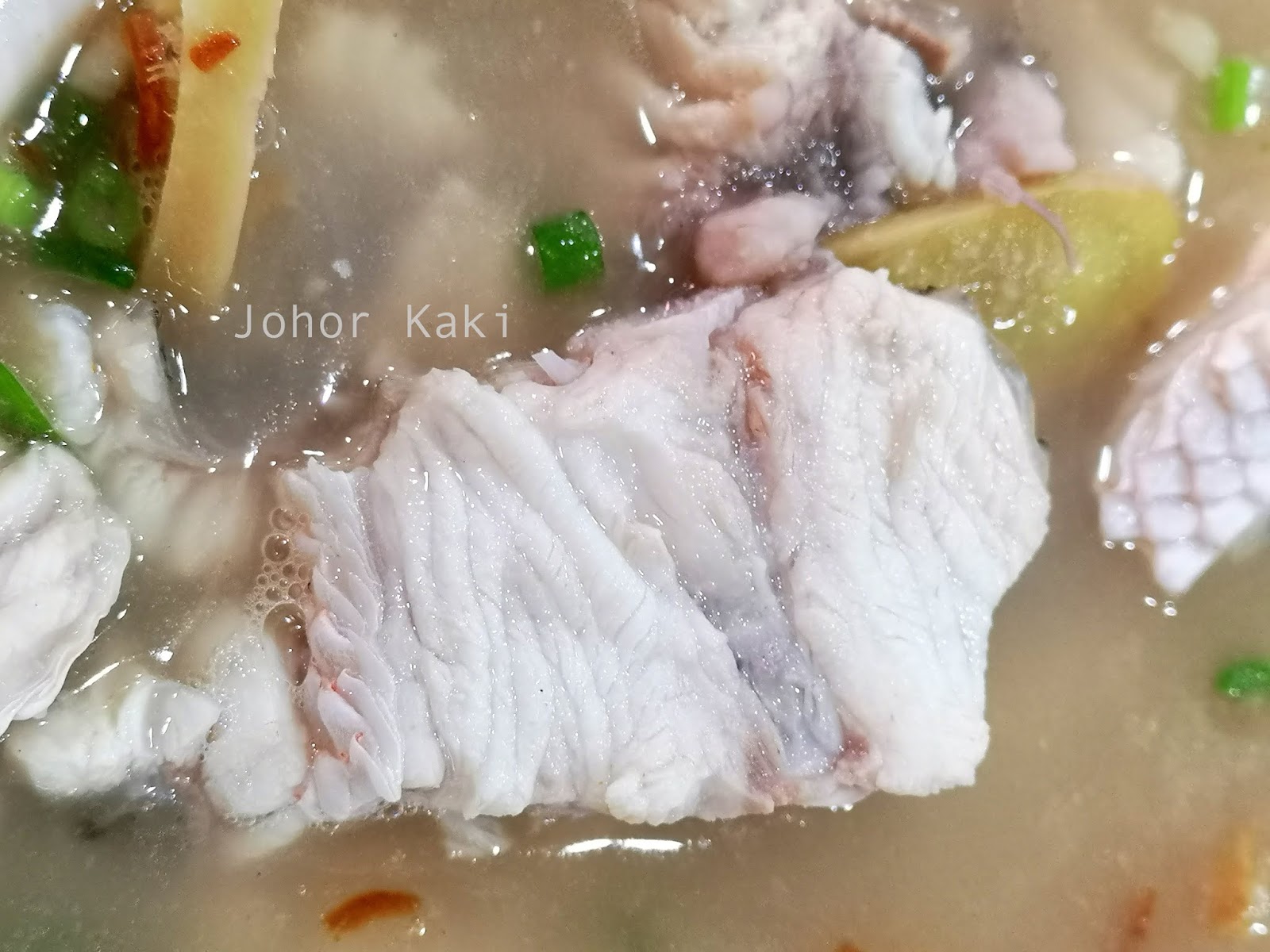 Lengkuas Fish Soup at Eatern Food Court in Batam Indonesia 平记鱼汤 |Tony ...