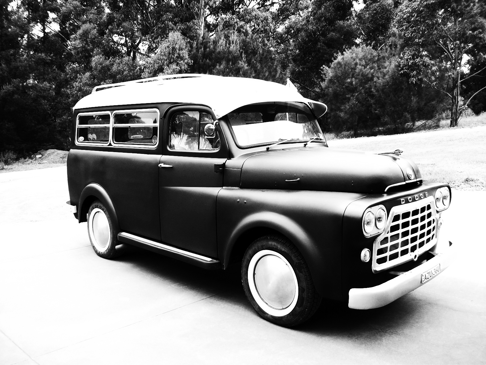 mark rabbidge surfboards