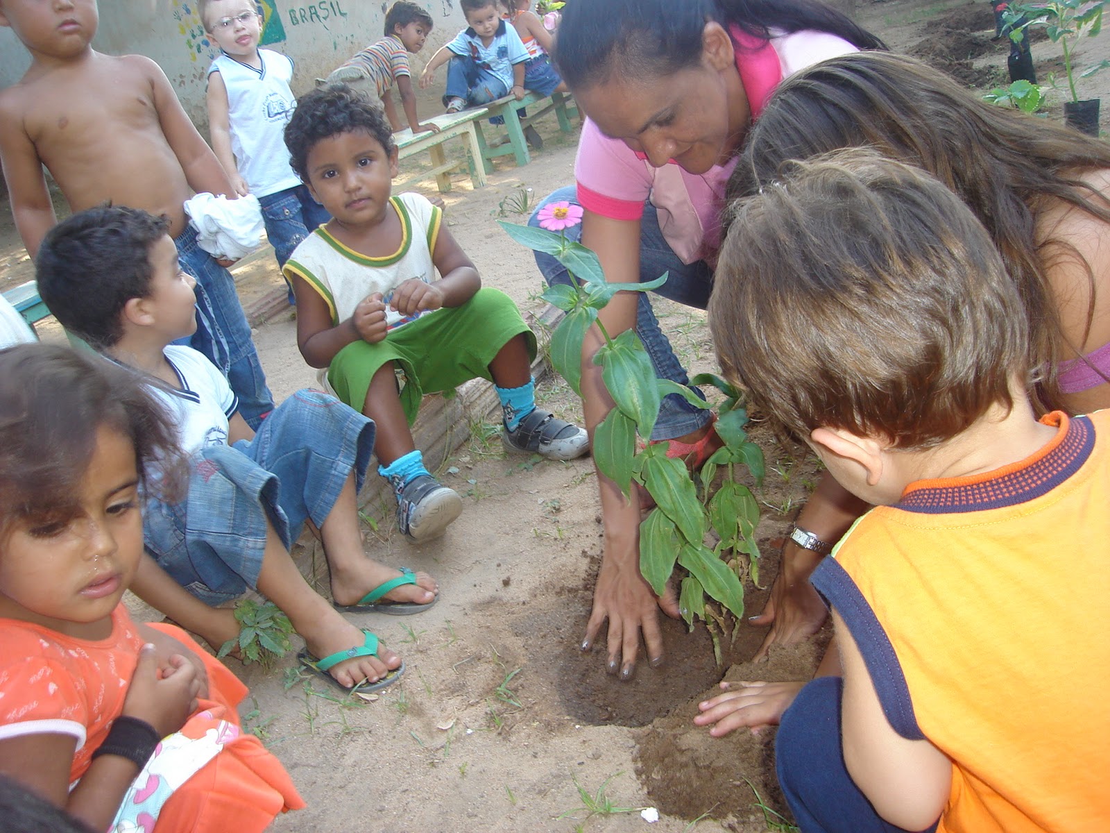 Creche Profª Maria Gláucia - Educação Infantil: Mini projeto:dia da árvore