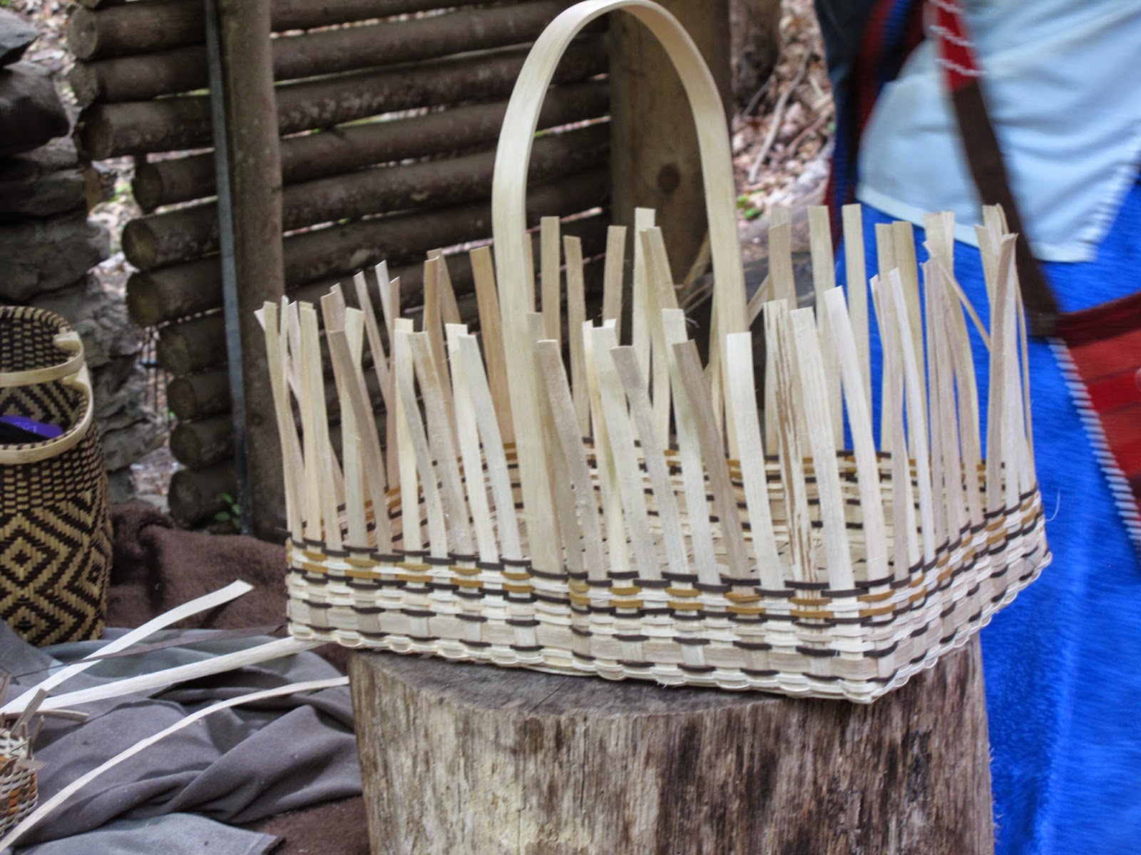 Reflections on Nature, Culture and Society: A visit to the Eastern Cherokee