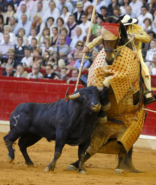 VUELTA AL RUEDO: julio 2011