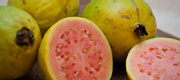 DIÁRIO COM A NATUREZA: 14 DE JUNHO - GOIABEIRA - GOIABA - FRUTA - FLOR ...