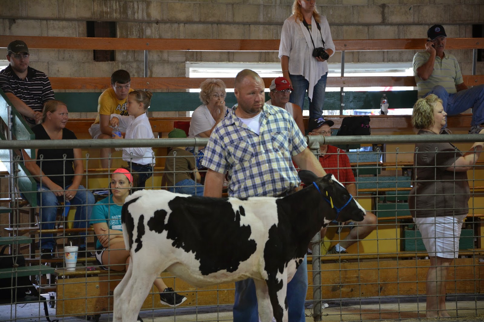 This Farm Family's Life: A Week of Fun at the County Fair...