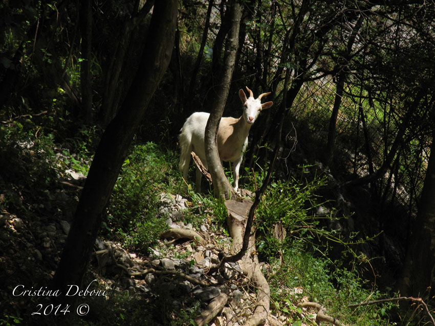 Esplorando: Gaium "Il paese alla fine del mondo" e la Chiesa di San ...