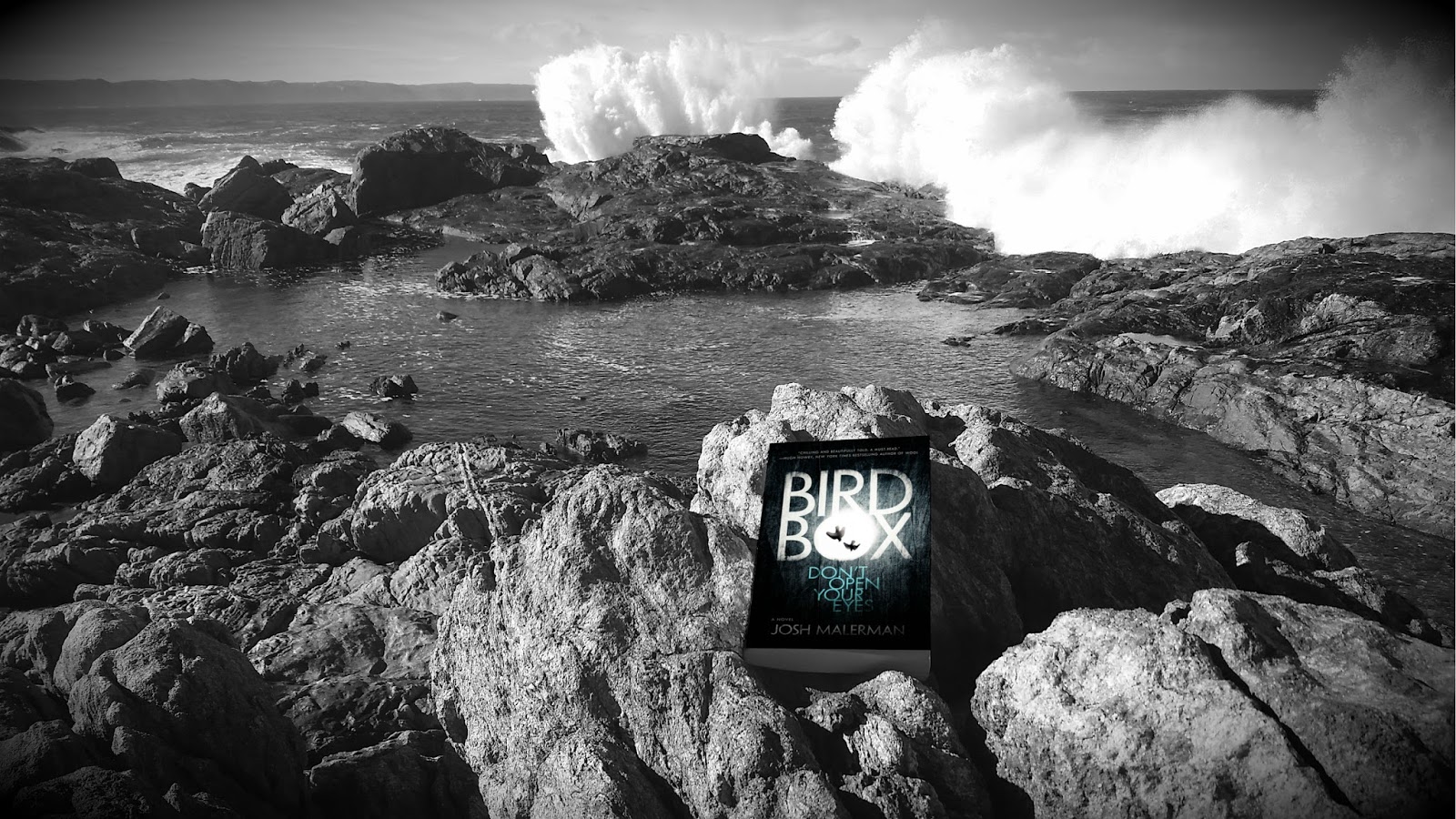 But Books Are Better Book Review BIRD BOX By Josh Malerman but-books-are-better-book-review-bird-box-by-josh-malerman