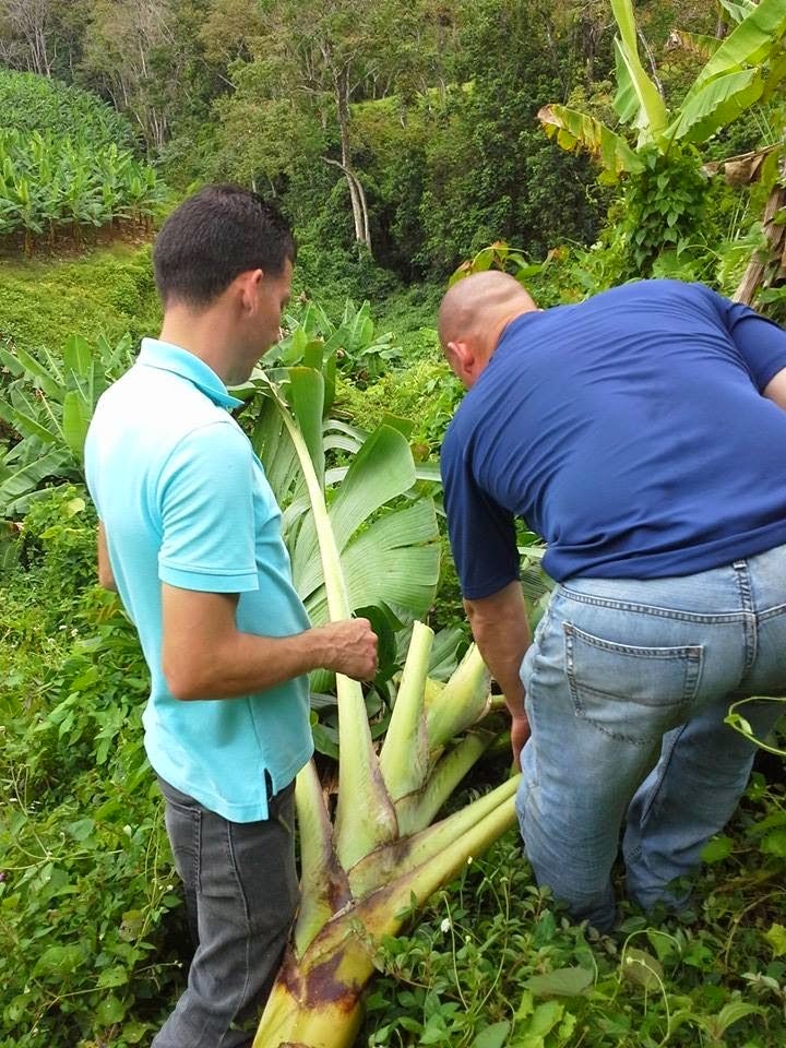 Concepto De Negocio La Agricultura Para Jóvenes Agro Empresarios Como