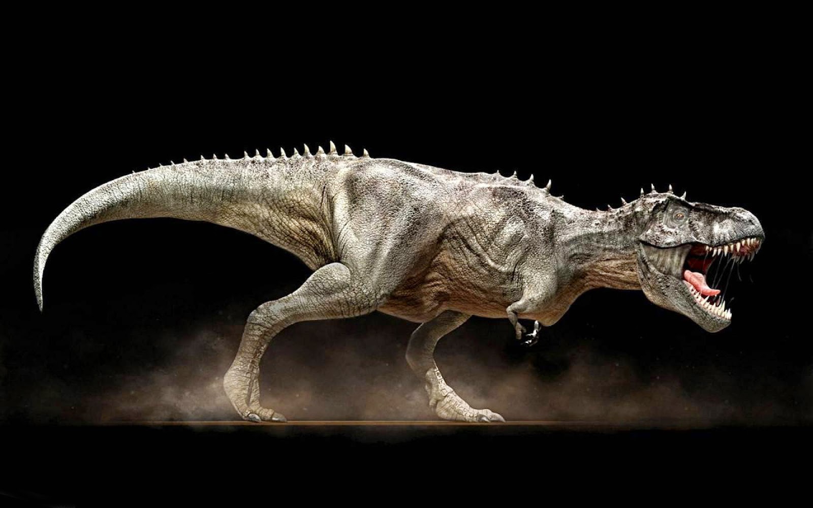 Top 23 Most Amazing Dinosaur Wallpapers In Full HD | HDmasha