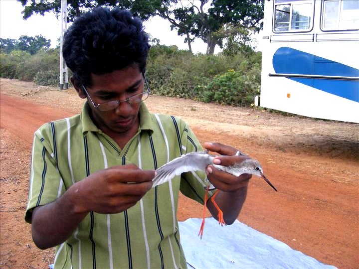 The Young Biologist: How to become a Biologist
