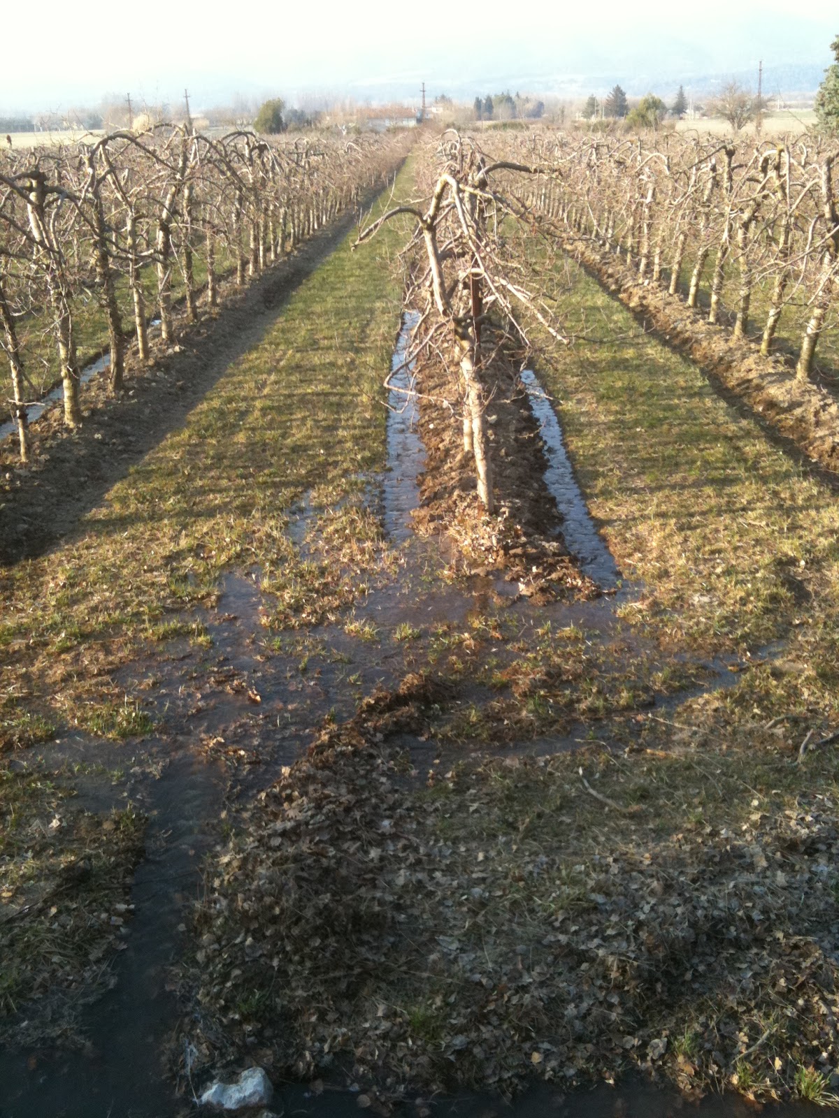 Eau et fort Marseille 2012: Journée technique Aïgo 2012 – visite de l ...