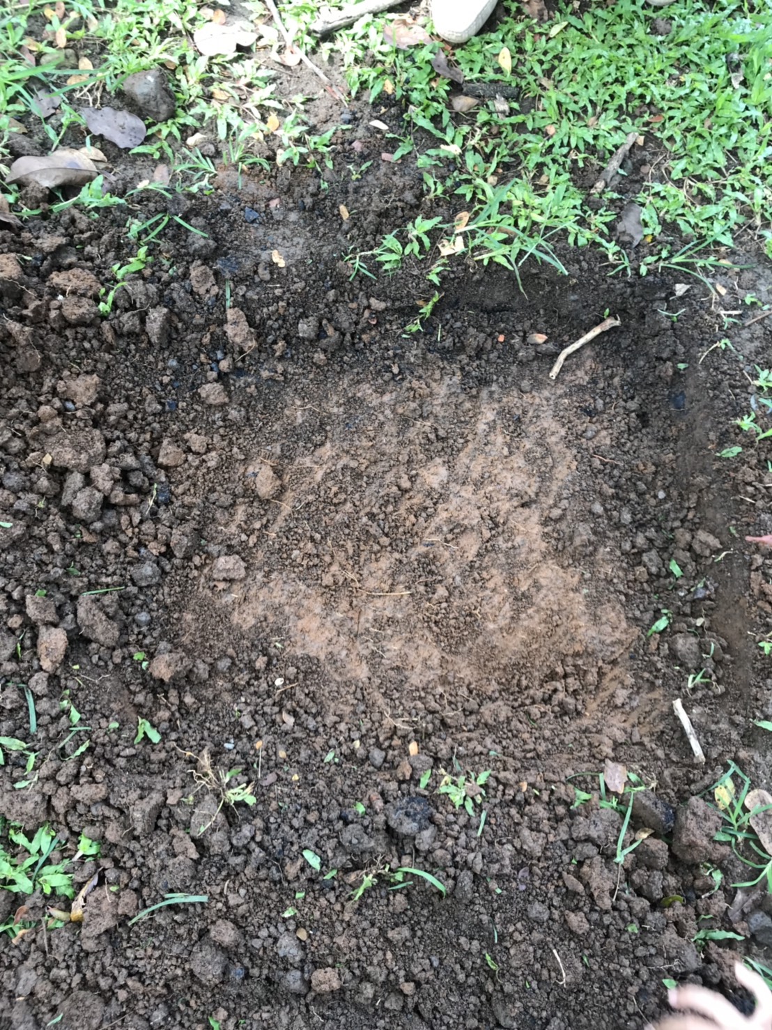 Metode Sampling Hewan Tanah