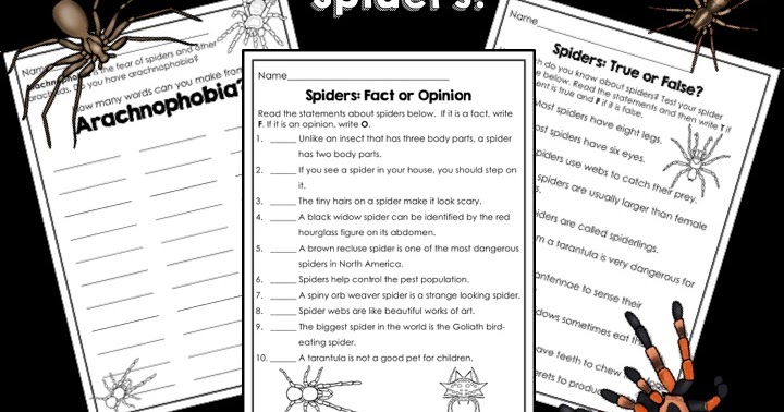 Classroom Freebies Too: Spiders!