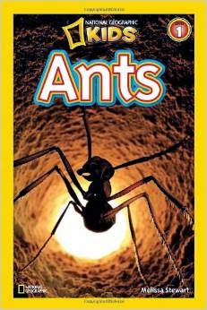 Nurturing Noggins: Buzz into Spring