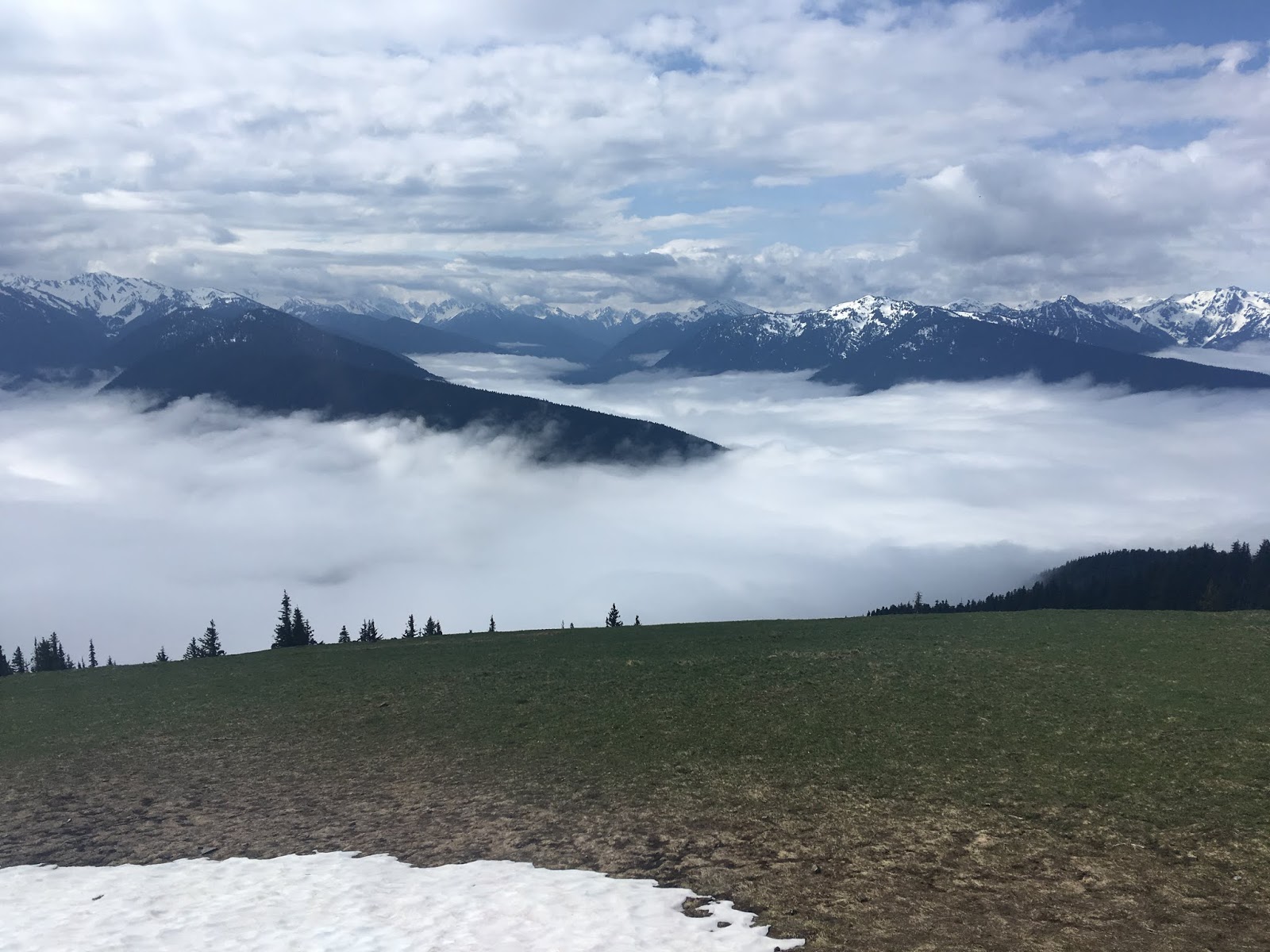 Olympic National Park; Hurricane Ridge and the Hurricane Ridge Road