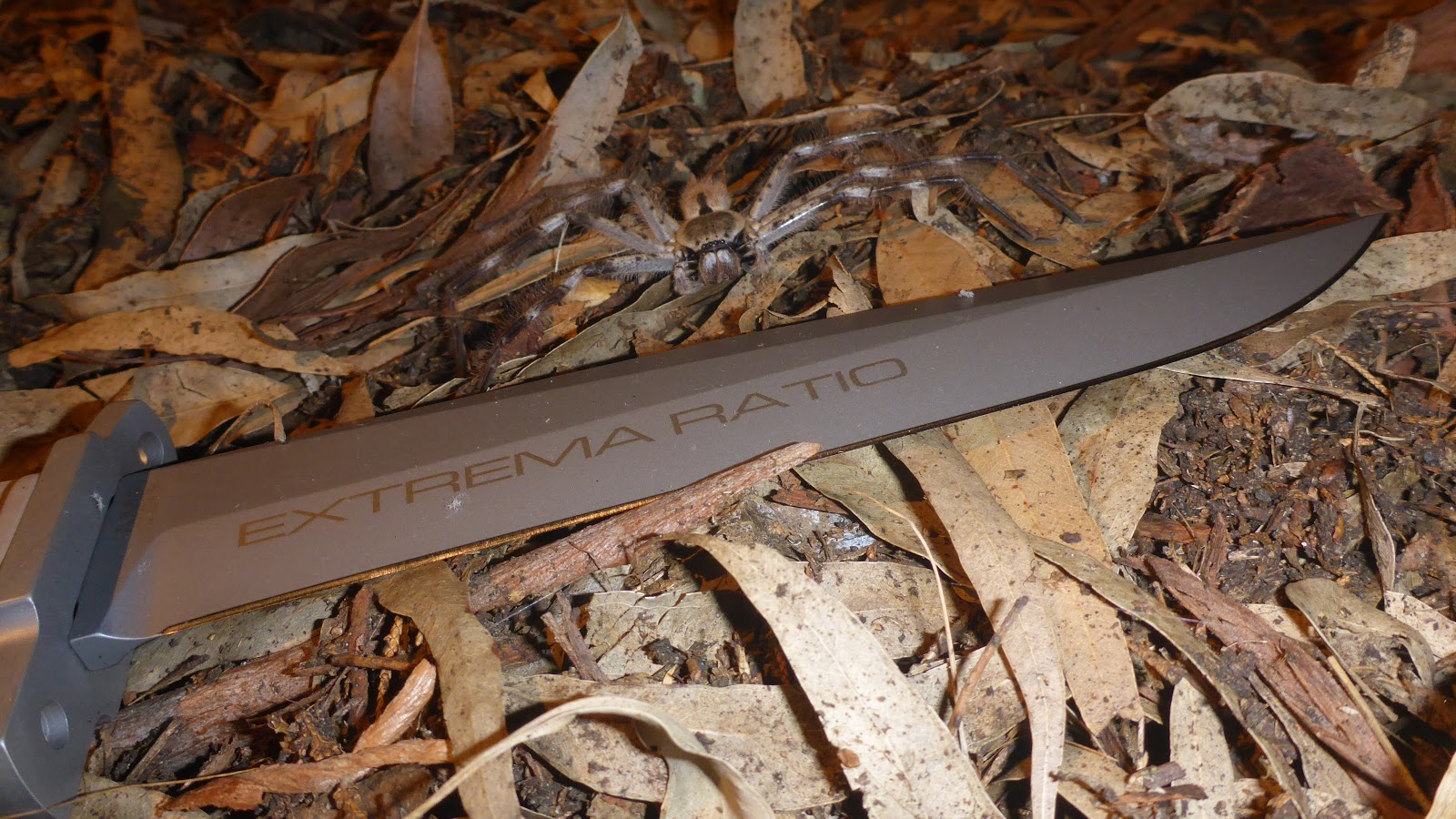 Hardcore Knives and tools for Wilderness Camping: Field Strip of the ...